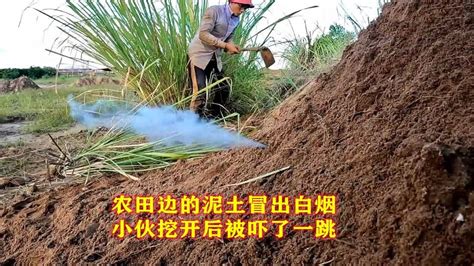 农田边的泥土冒出一股白烟，小伙挖开后，被吓了一跳农田边 Youtube