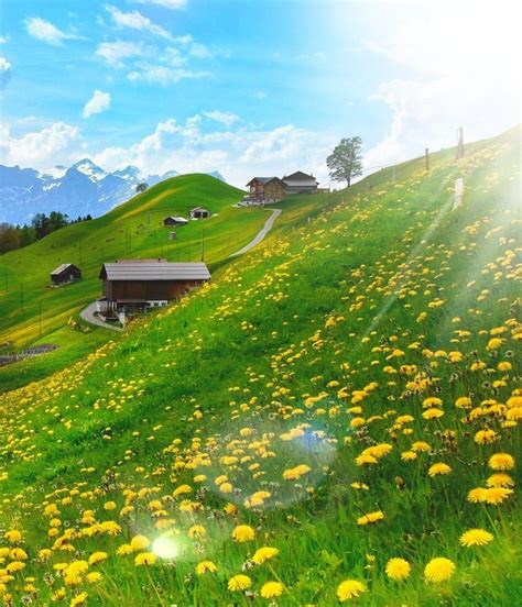 ایستگاه خواجه تا چند حساب زر و دینار کنی سود و سرمایهٔ دین بر سر