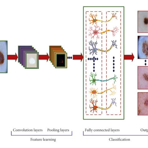 Architecture Of The Convolution Neural Network Download Scientific Diagram