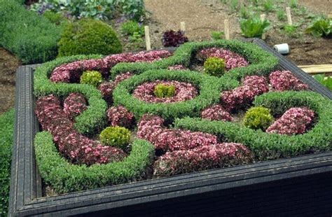 Французкий огород: как обустроить французкие грядки | Garden, Garden ...