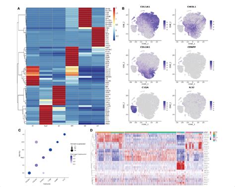 Identification Of Chondrocyte Subpopulations A Heatmap Revealing The