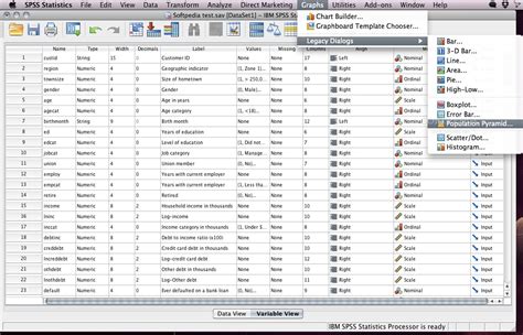 Spss On Mac Review