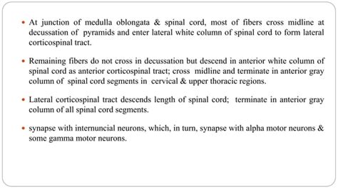 Tracts Spinal Cord Dr Bikal Ppt