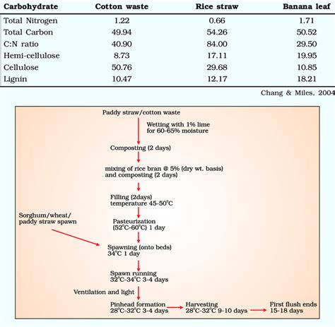 Indoor Method Of Paddy Straw Mushroom Cultivation Download Scientific Diagram