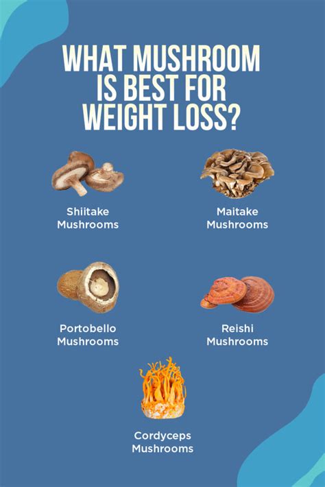 Mushrooms For Weight Loss Most Important Health Benefits