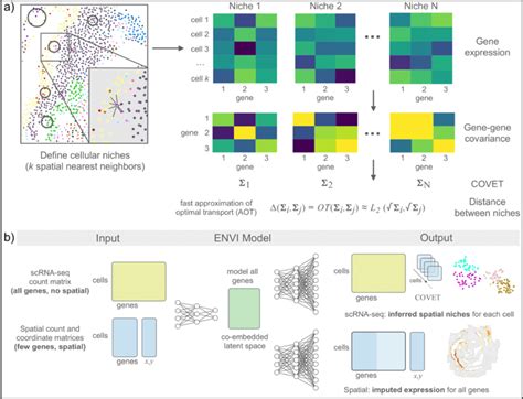 A Covariance Based Framework For Characterizing Spatial Niches Powers