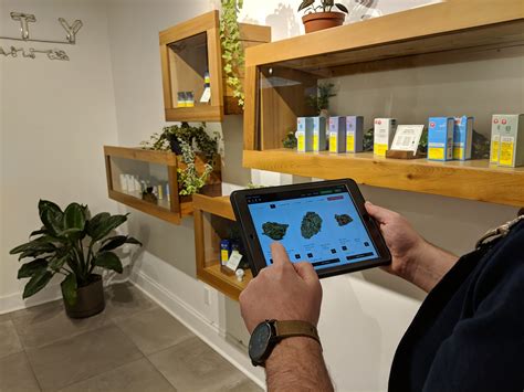 Buddi On Linkedin Buddi Kindsummerfair