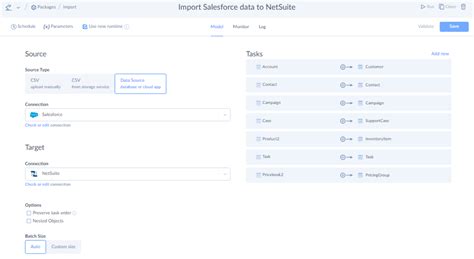 netsuite salesforce integration using api and cloud connectors