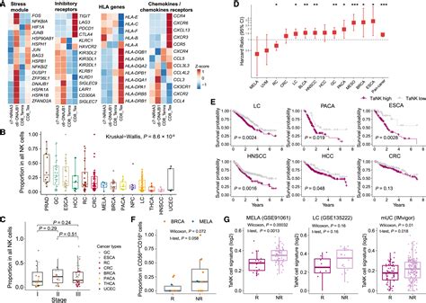 A Pan Cancer Single Cell Panorama Of Human Natural Killer Cells Cell