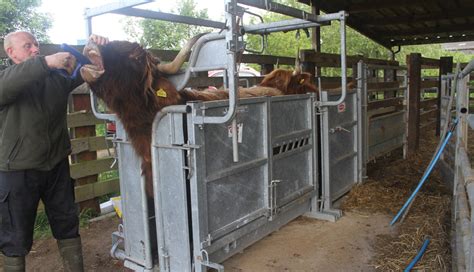 Ritchie Highland Cattle Handling Chute 337g — Huber Ag Equipment Ltd