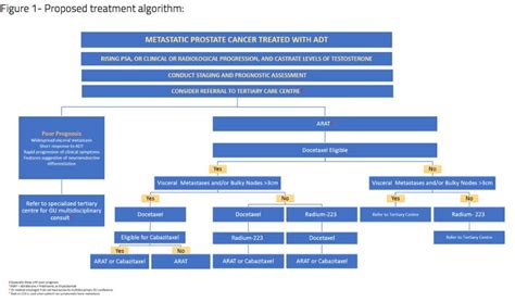 Prostate Cancer Treatment Algorithm