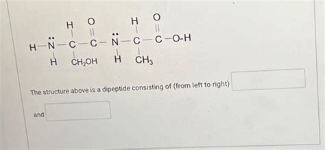 Solved The Structure Above Is A Dipeptide Consisting Of