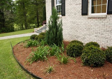 Termite Resistant Mulch What Mulches Attract Termites