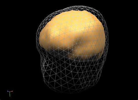 eeg and meg forward models