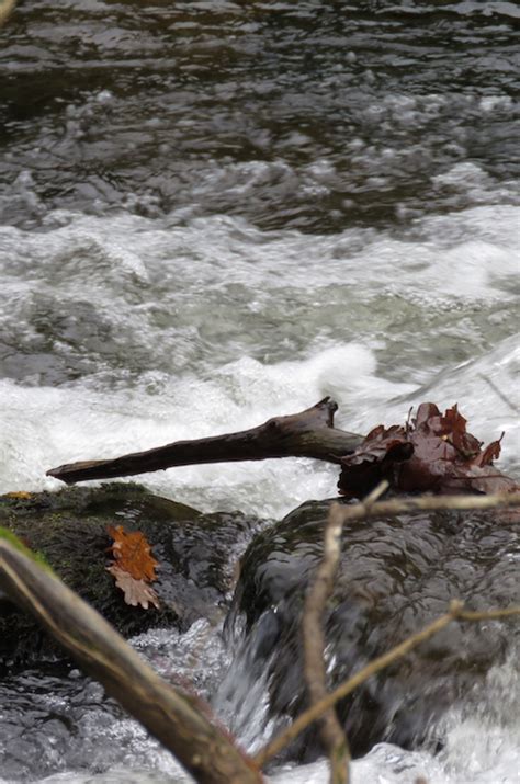 Core Process Psychotherapy Dartmoor Psychotherapy