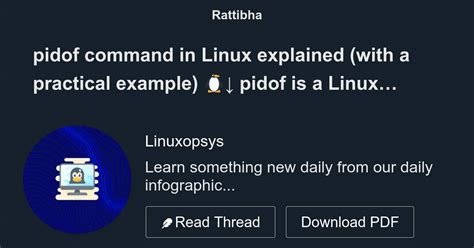 Pidof Command In Linux Explained With A Practical Example 🐧↓