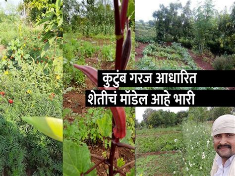 कटब गरज आधरत शतचय मडलमळ शत वटल मलच वच शतच नव पदधत
