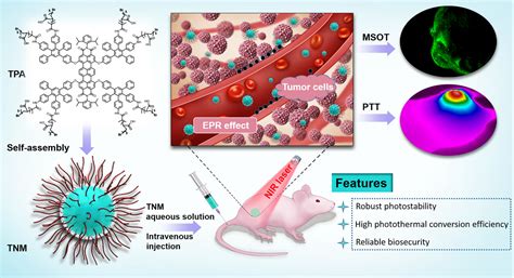 Fibrin Targeted And H2o2 Responsive Nanoparticles As A 55 Off