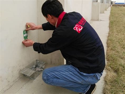 怎样能彻底灭蟑螂 消杀服务 石家庄灭鼠公司 石家庄灭蟑螂公司 石家庄消杀 石家庄杀虫公司 易清环境