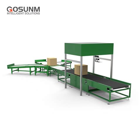 Zigzag Sorting System 3d Outfeeds Dws Scanning Weighing Warehouse And