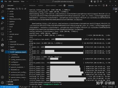 Internlm Langchain