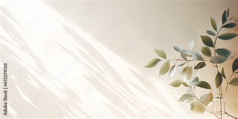 Shadow Shade Tewxture From Tree Leaf And Sun Light Shade On White Wall