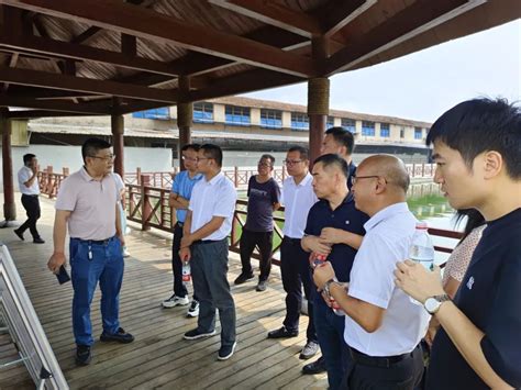 区农业农村局召开美丽乡村大比武现场推进会