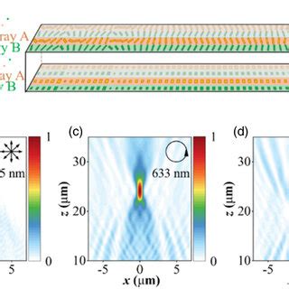 A Schematic Diagram Of The Spatially Multiplexed Trifocal Metalens