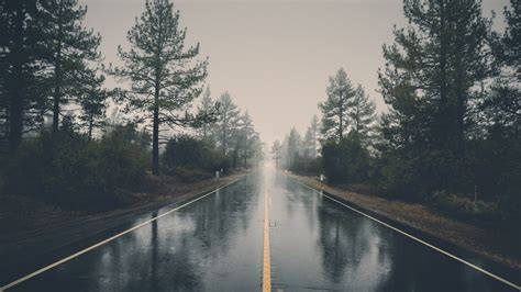 Fondos de pantalla naturaleza paisaje Árboles bosque la carretera