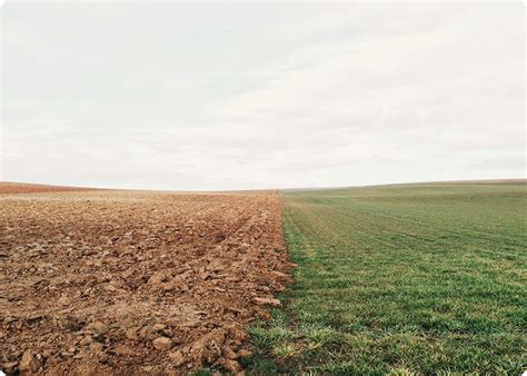 What Are Variable Charges In Soil 2026variablechargesoilconference