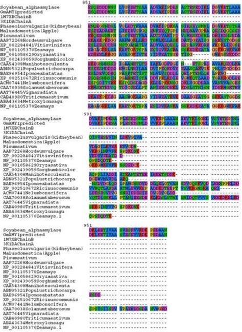 Sequence Alignment Of Soybean Amylase With Predicted Amylase And With Download Scientific
