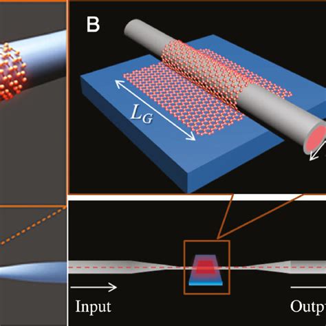 2d Material Decorated Microfiber Photonic Device Fabrication Using The