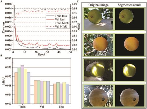 The Input Image And Ground Truth Download Scientific Diagram