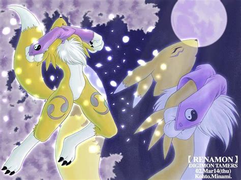Renamon Renamon Wallpaper 7059224 Fanpop