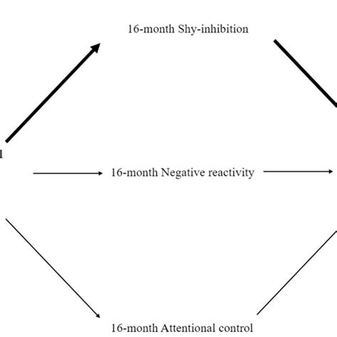 Conceptual Diagram Outlining The Full Moderated Mediation Model Of The