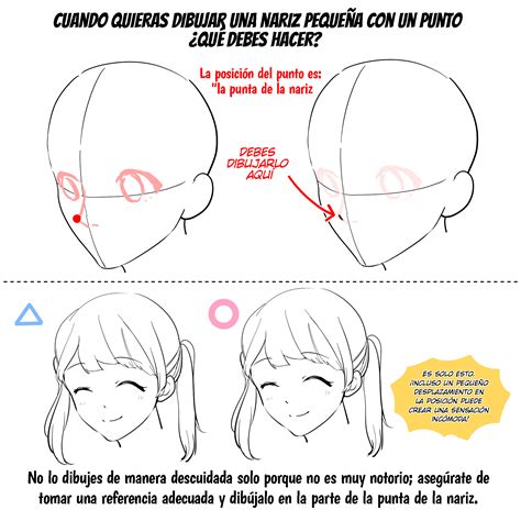 Tipos De Formas De Nariz