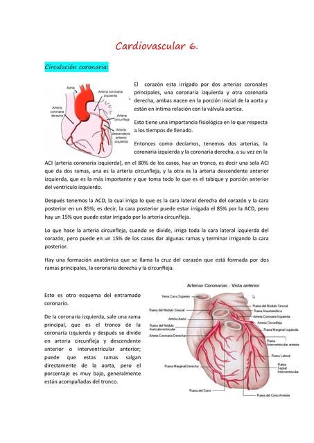Cardiovascular 6 Agustina Cruz Bormida UDocz