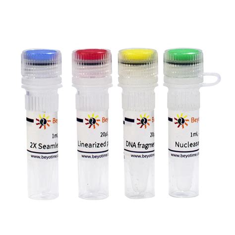 Seamless Cloning Kit