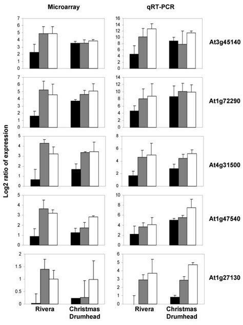 Comparison Of Microarray And Qrt Pcr Analysis Of Five Genes Log Download Scientific Diagram