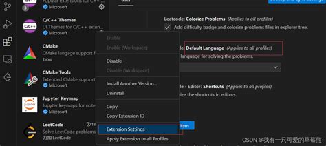 Vscode的leetcode插件无法登录