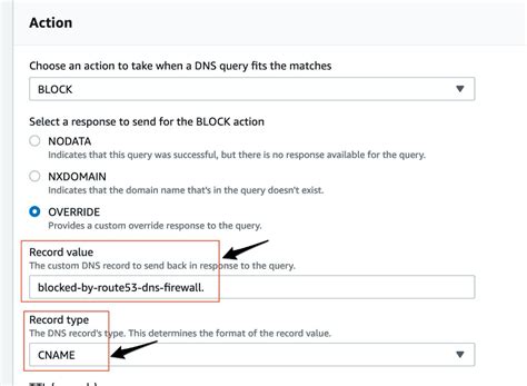 Using Route 53 Resolver Dns Firewall Logs With Cloudwatch Contributor