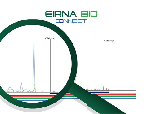 Eirna Bio Connect Bioinformatics Eirna Bio