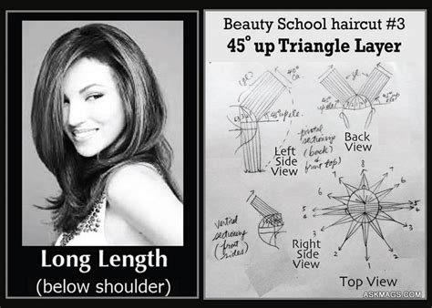 Ray Fung Triangle Layers With Diagram