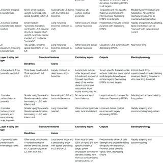 Apparent Increase In The Thickness Of The Pyramidal Cell Layer Is Seen Download Scientific