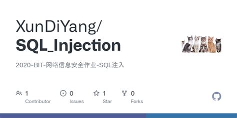 GitHub XunDiYang SQL Injection 2020 BIT 网络信息安全作业 SQL注入