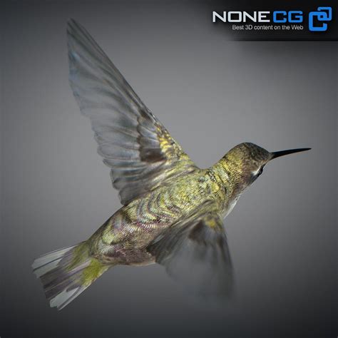Animated Hummingbird Scene Setup Cute Designs To Draw Animation