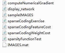Exercise Sparse Coding Dupuleng