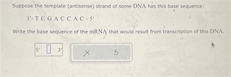 Solved Suppose the template (antisense) strand of some DNA | Chegg.com