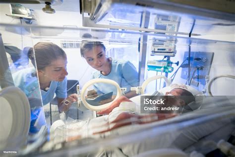 인큐베이터에서 조기 신생아 보고 신생아 집중 치료 단위에서 간호사의 관련된 팀 간호사에 대한 스톡 사진 및 기타 이미지