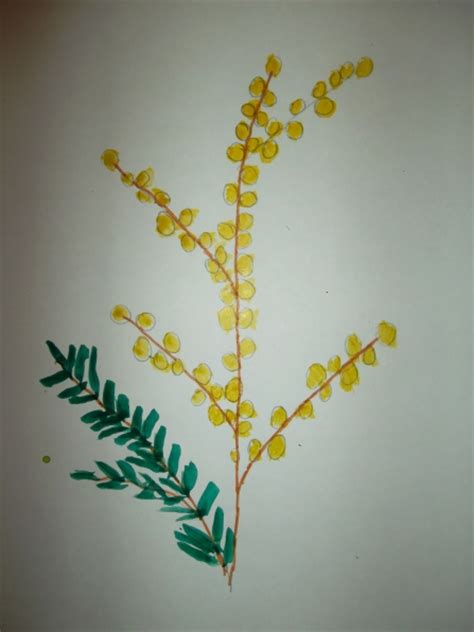 Веточка мимозы 5 фото Воспитателям детских садов школьным учителям и педагогам Маам ру